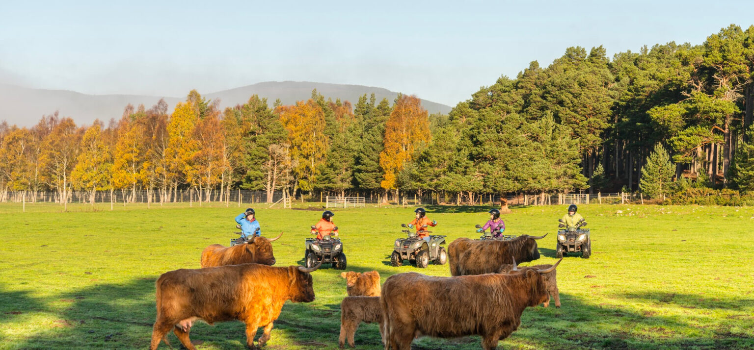 Discover Rothiemurchus - family holidays in the heart of the Cairngorms