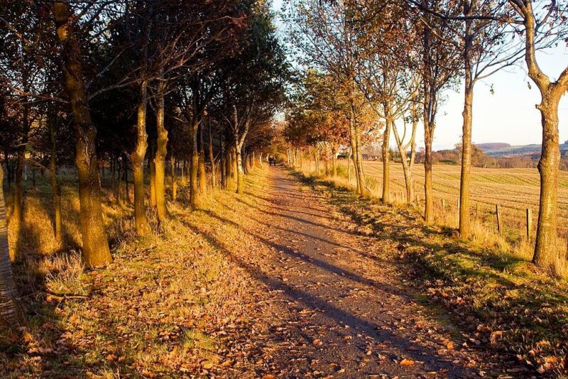 Fiona Outdoor’s 5 great family friendly off-road cycling routes - Visit ...