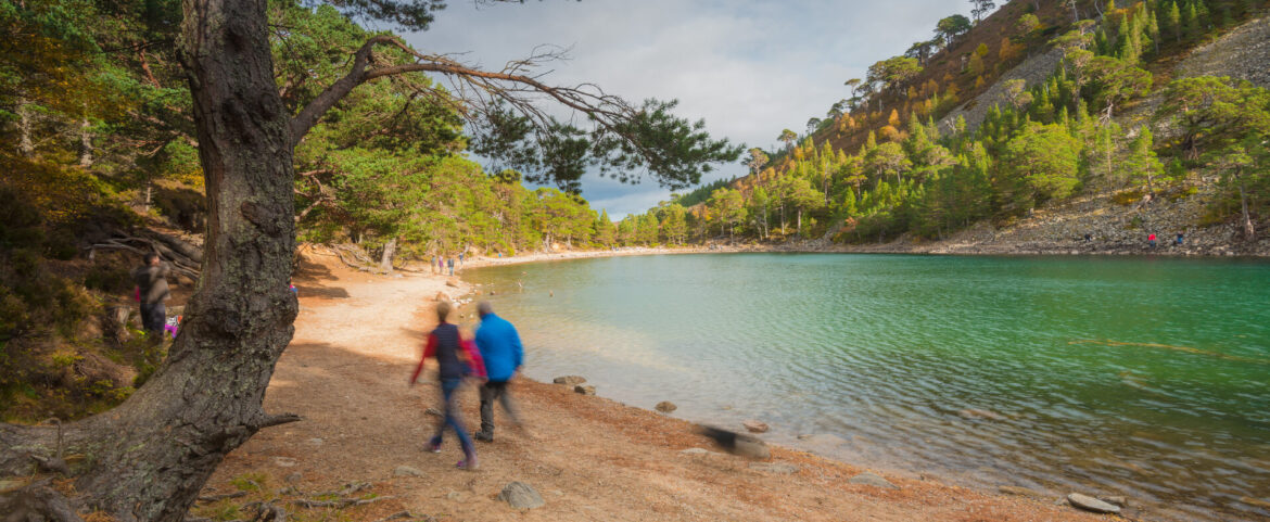 The Green Loch - Home Of The Fairies