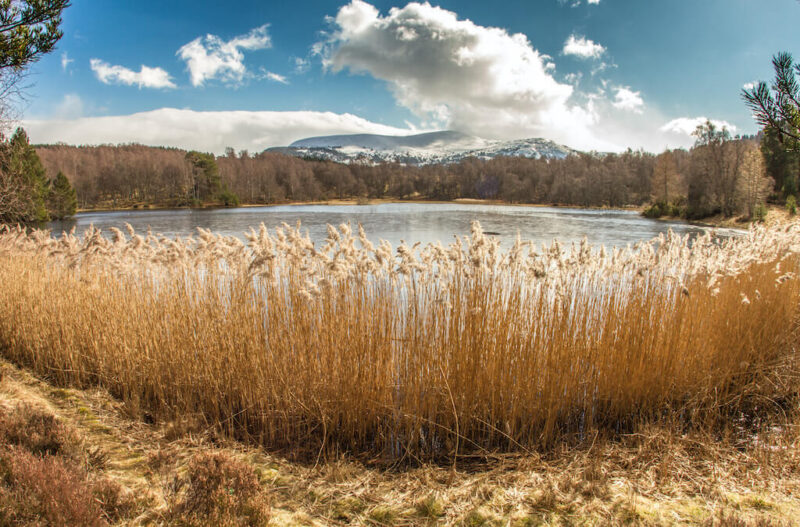 Lochs of the Cairngorms - Visit Cairngorms