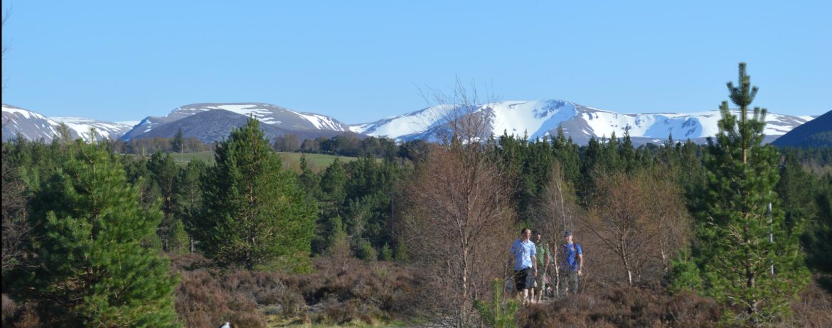 Uath Lochans - Visit Cairngorms
