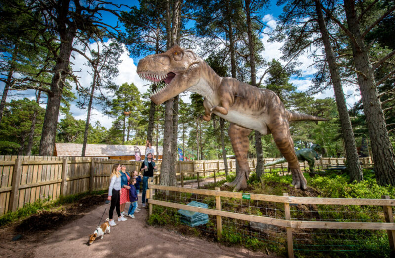 Families and Kids | Cairngorms National Park - Visit Cairngorms