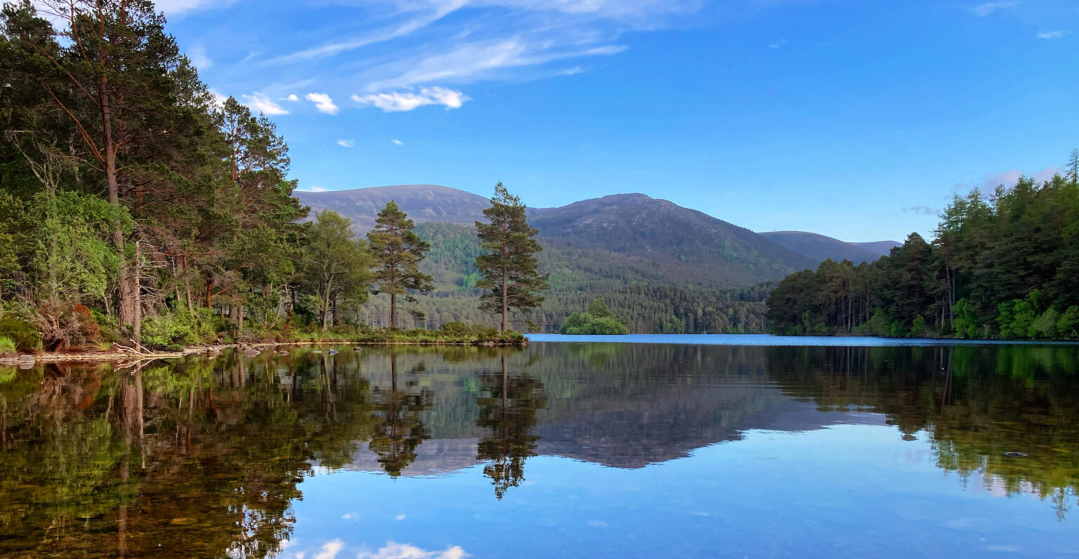 Discover Rothiemurchus - family holidays in the heart of the Cairngorms