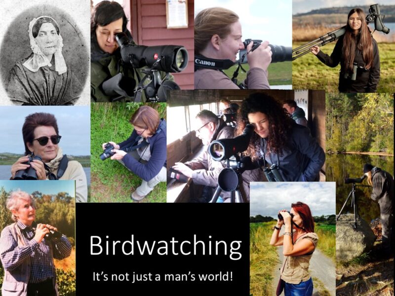 Evening Talk: Birdwatching, Not just a man's world! by Ruth Miller ...