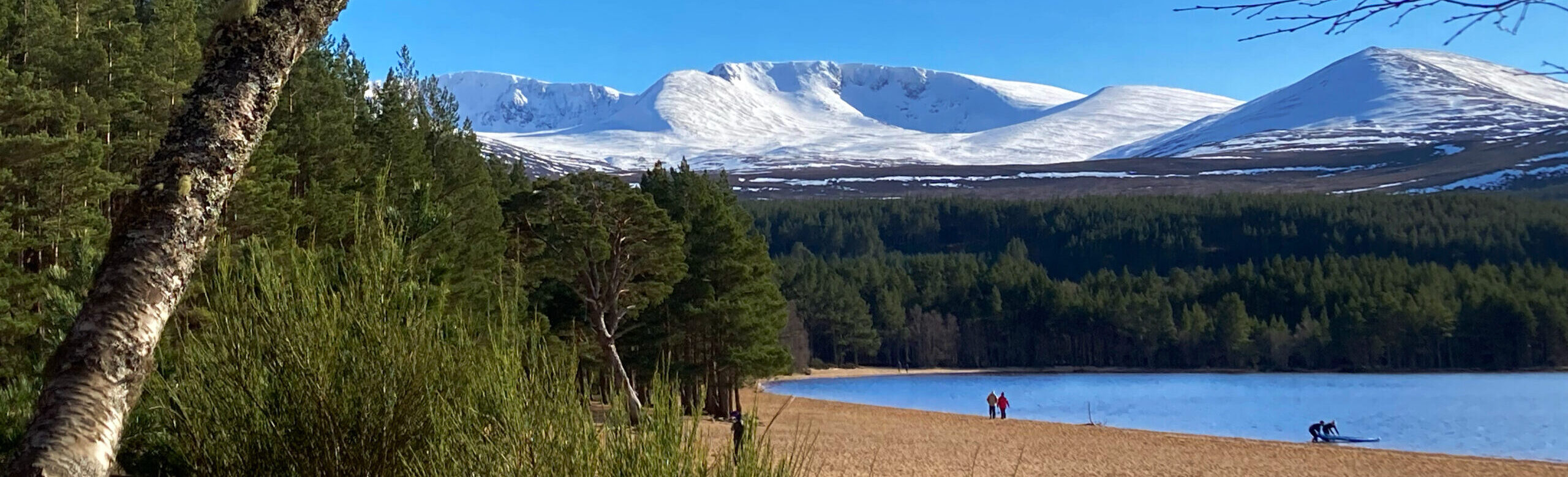 The Cairngorms.... Where Winter Comes to Life
