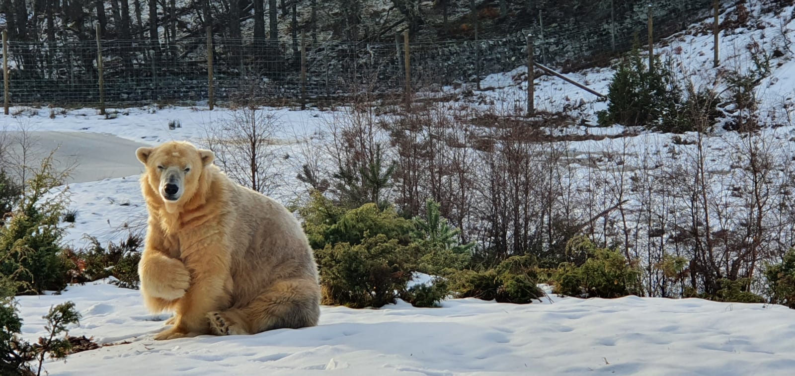 Winter Breaks in the Cairngorms - Make your Winter Magical