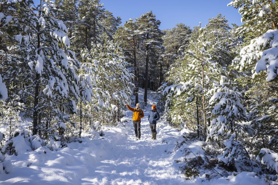 Visit Cairngorms: The Official Cairngorms website | National Park