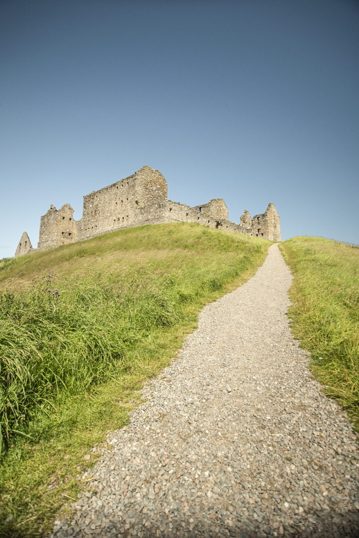 Biodiversity at Highland Wildlife Park - Visit Cairngorms