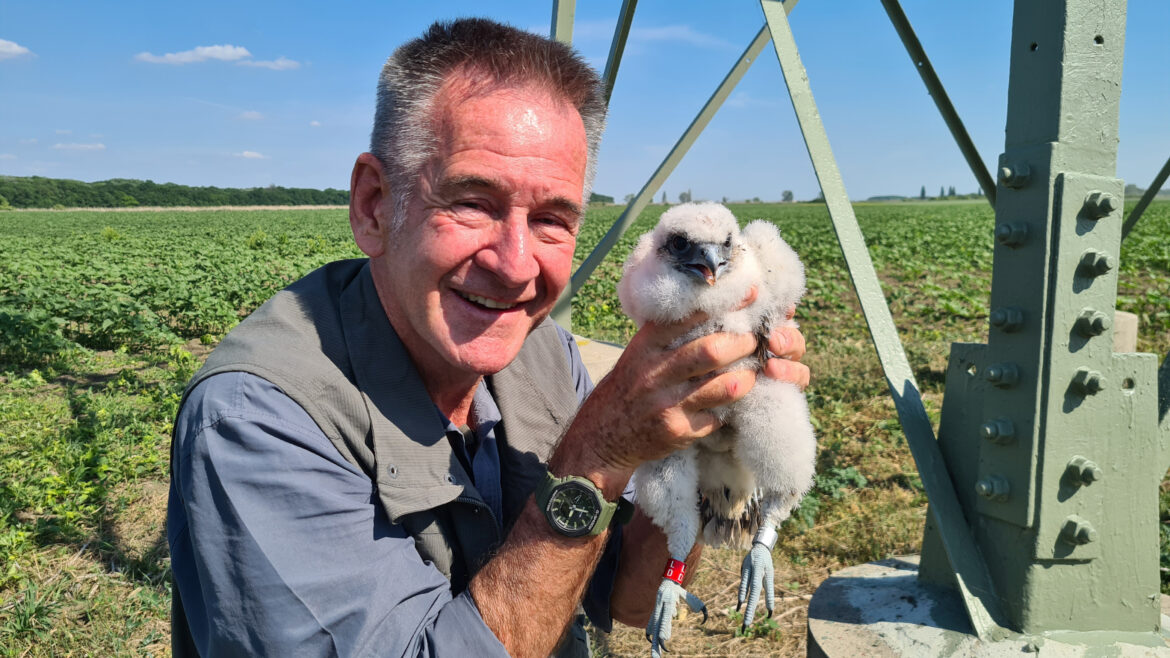 Evening Talk: Behind the Scenes Filming of Wildlife Speicals about ...